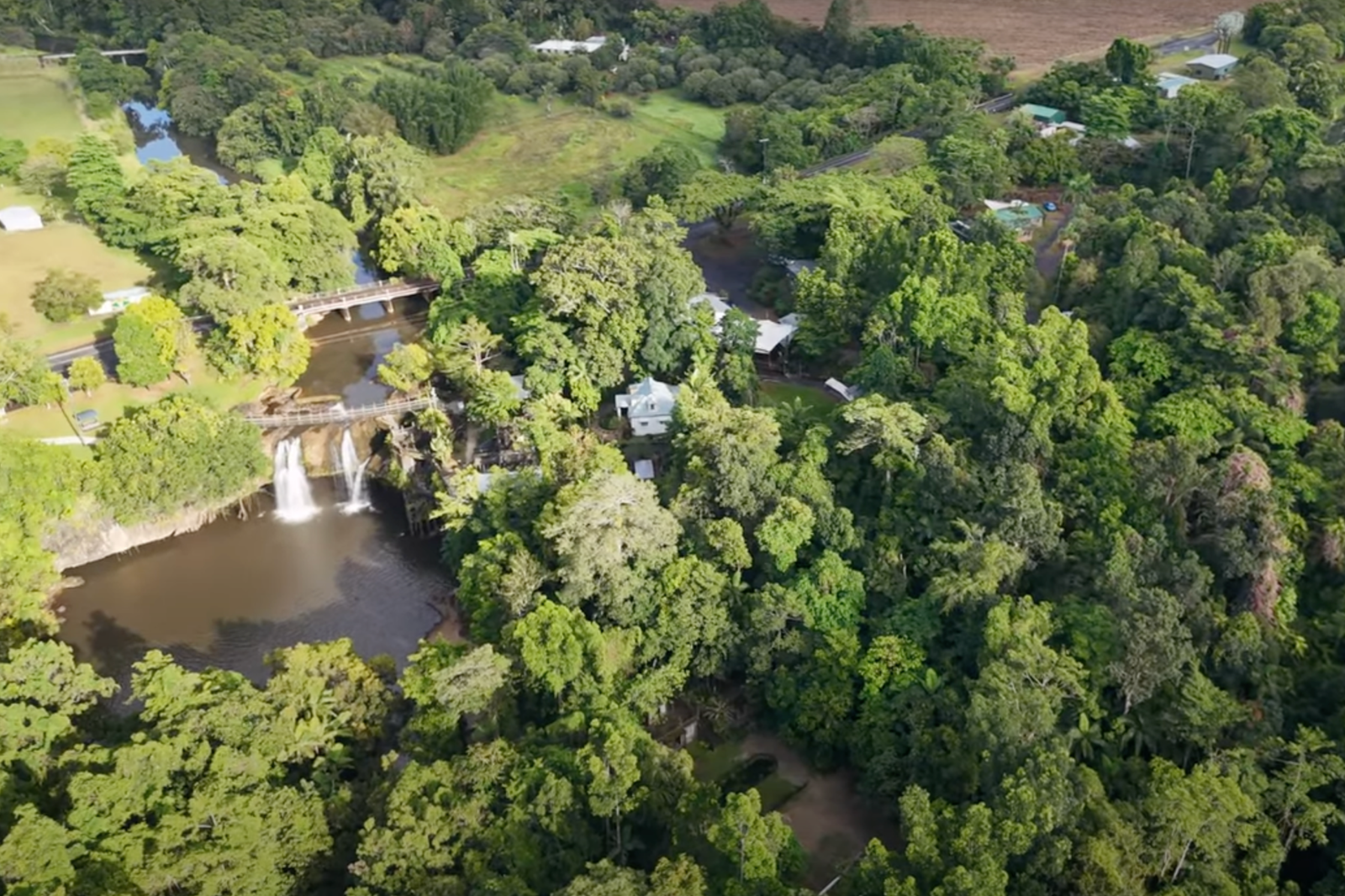 Paronella Park Castle: History, Highlights, and Travel Tips